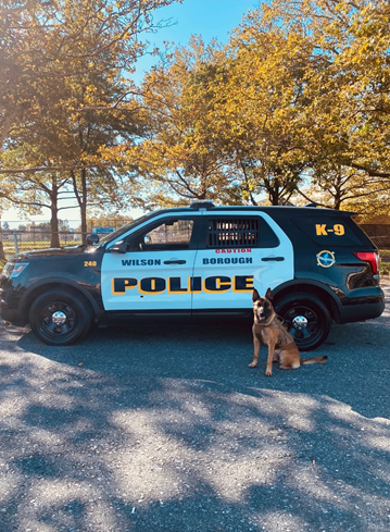 K-9 – The Borough of Wilson